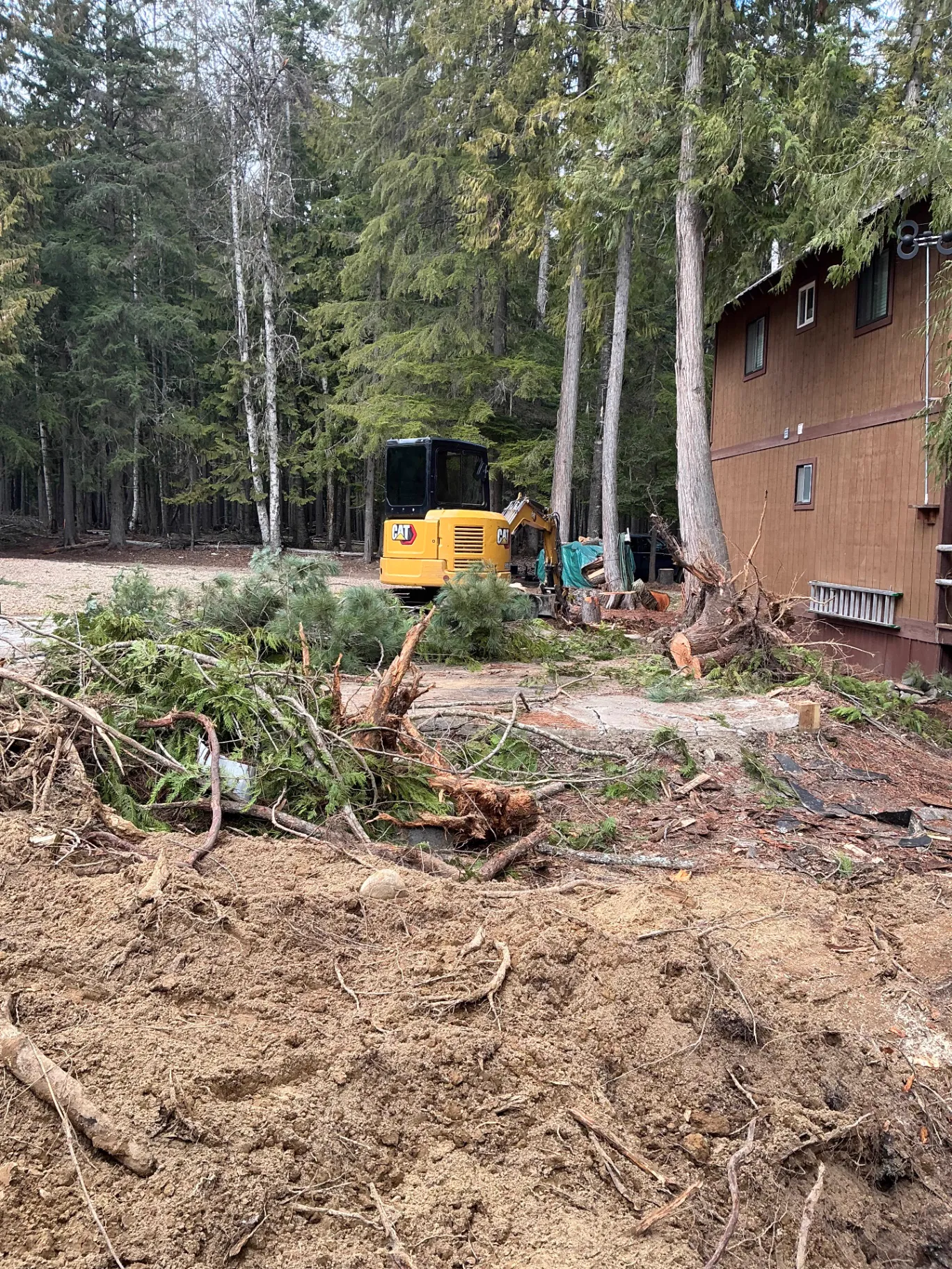 Spokane Tree Removal · 24/7 Emergency Hazardous Crew